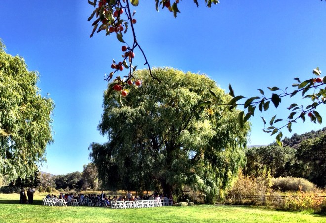 A Wedding under the Willows at Rock Bottom Ranch – Smuggler Mountain Music